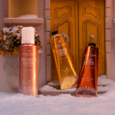 Festive Limited Editions | L'Occitane South Africa